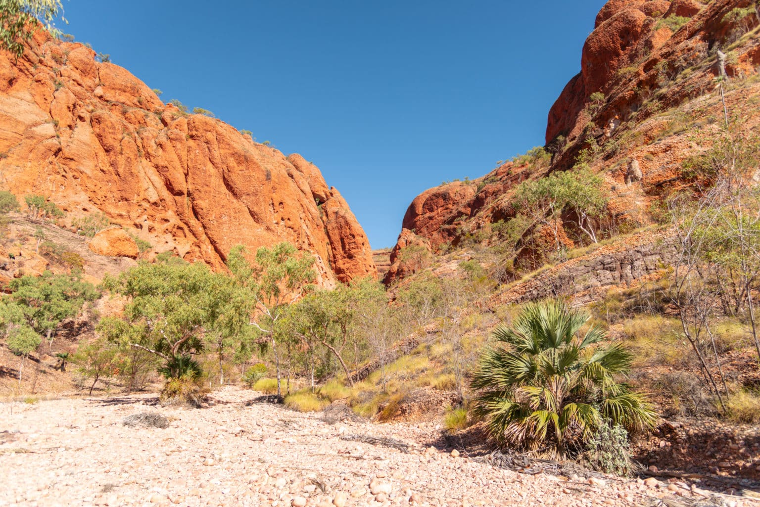 Kimberley Tours: Your Gateway to Australia's Outback