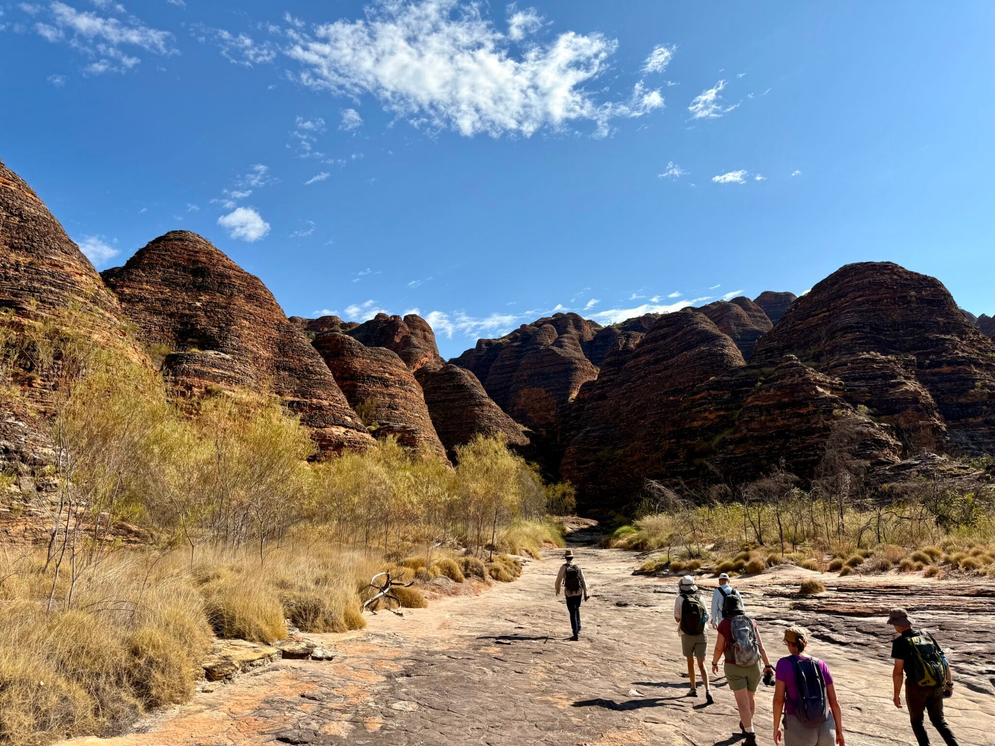 Where Are the Bungle Bungles Located? A Visitor's Guide - Kimberley Tours