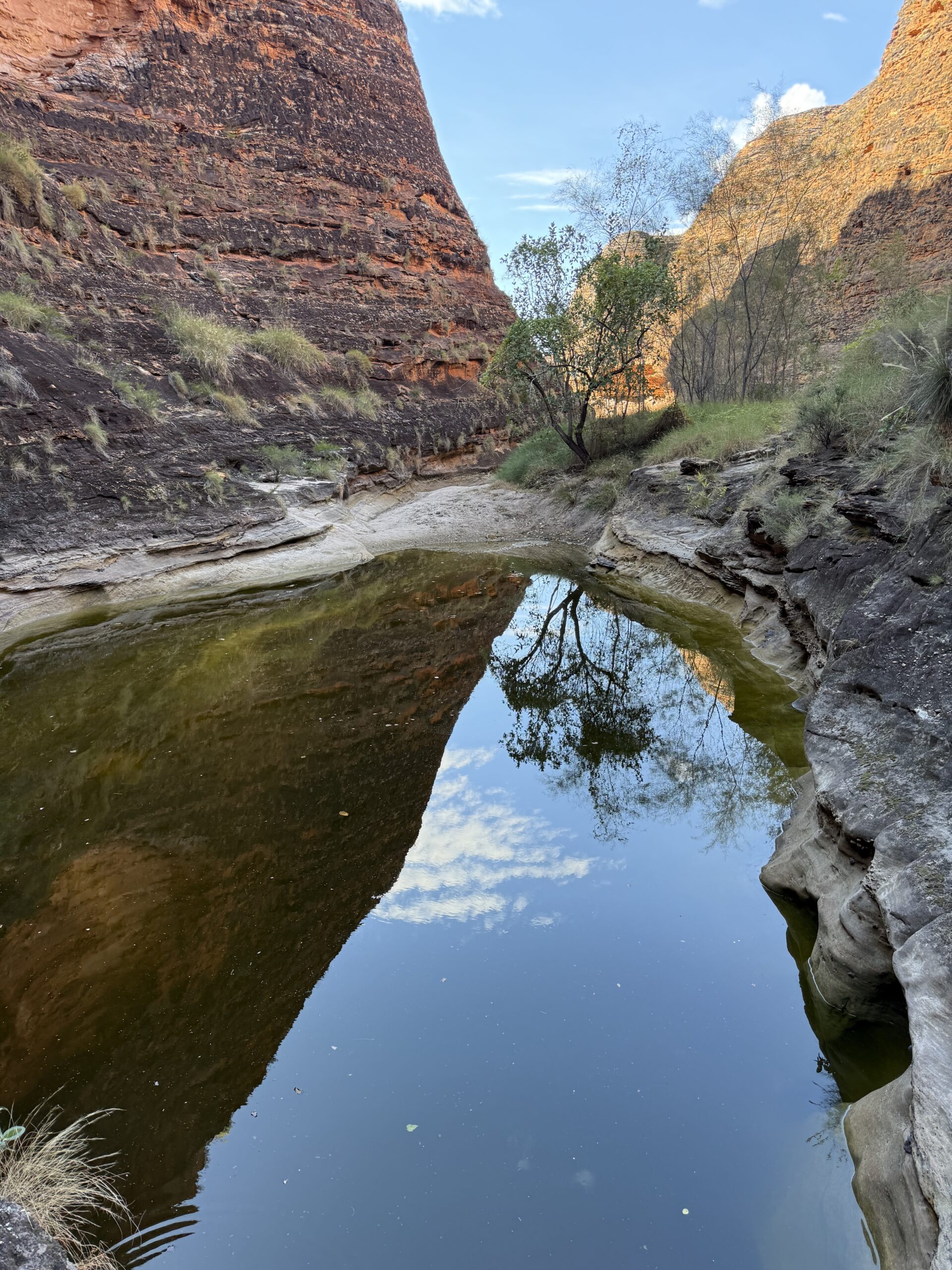 Where Are the Bungle Bungles Located? A Visitor's Guide - Kimberley Tours