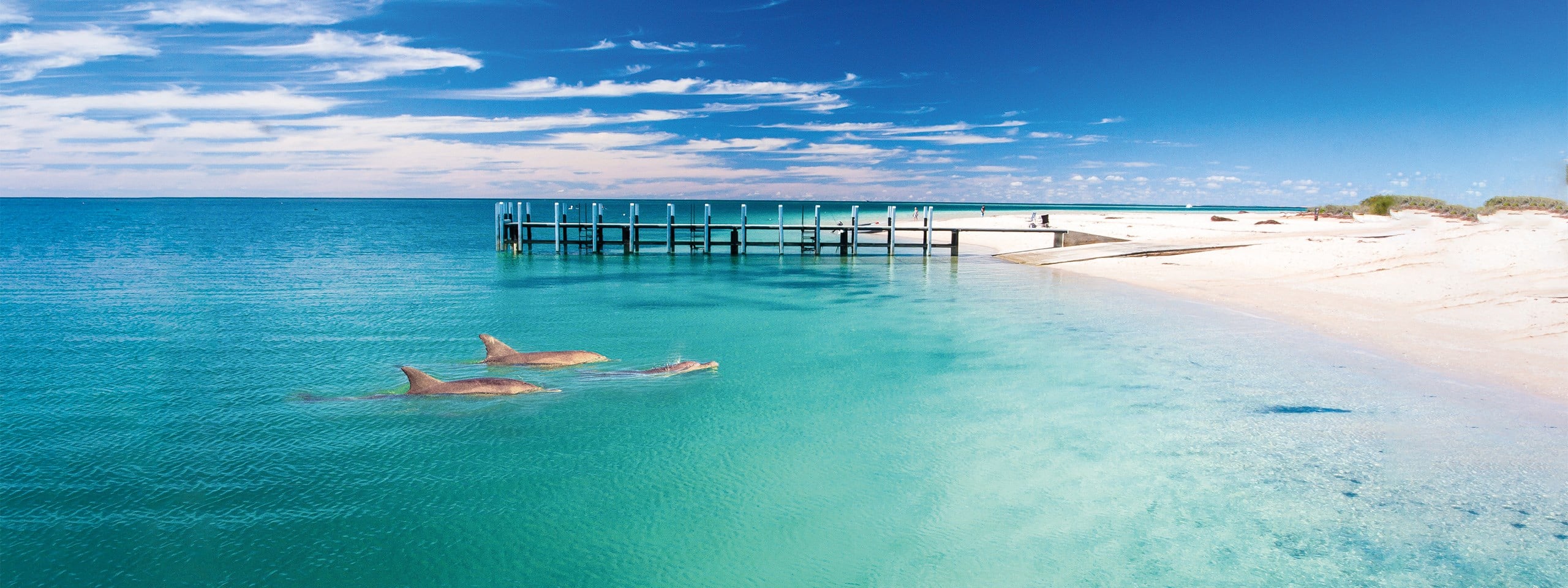 5 Day Monkey Mia Dolphins & West Coast - Kimberley Tours